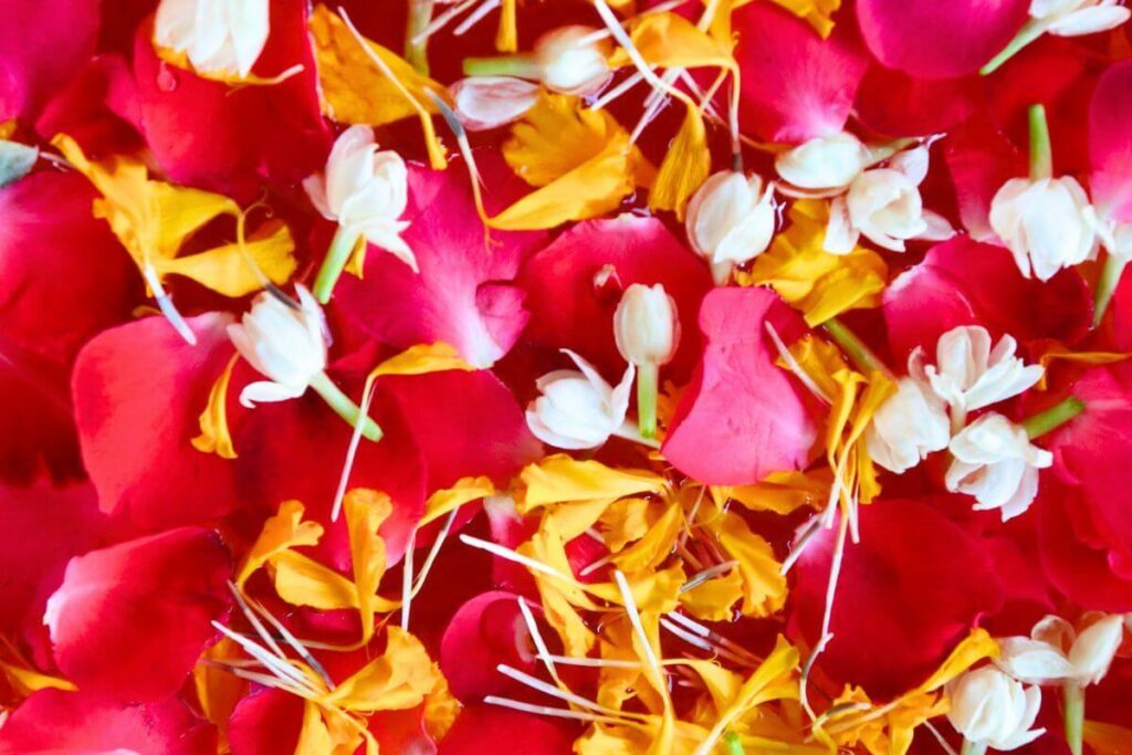 Instyle Fragrances - Inspired by Classics