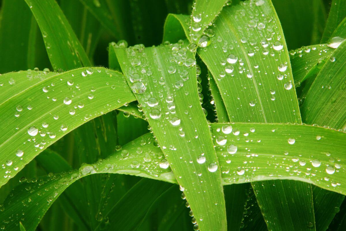 Shop - Instyle Fragrances